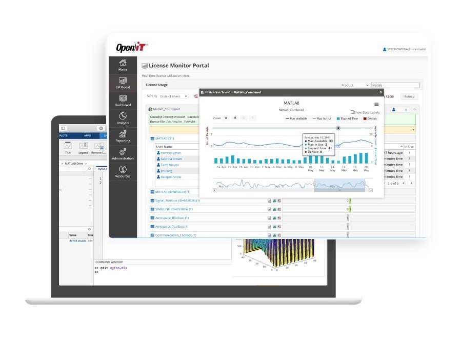 Analyzer for MathWorks® Licensing